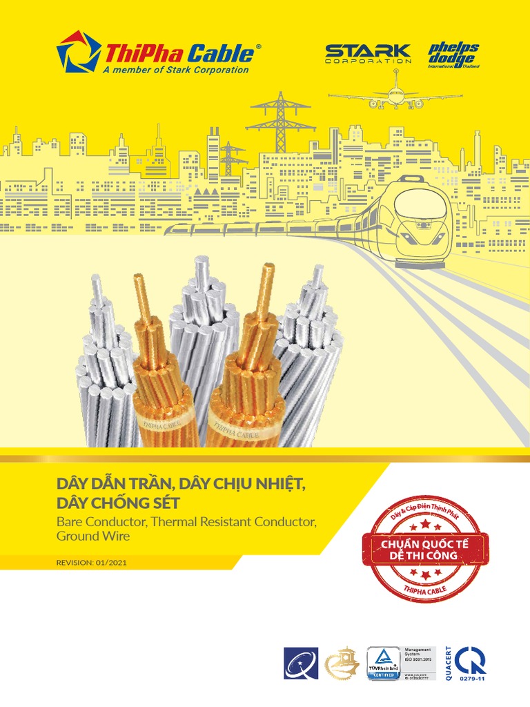 Day Dan Tran Update 012021 | PDF