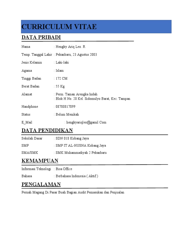 CV Hengky Ariq Leo: Pendidikan & Pengalaman | PDF