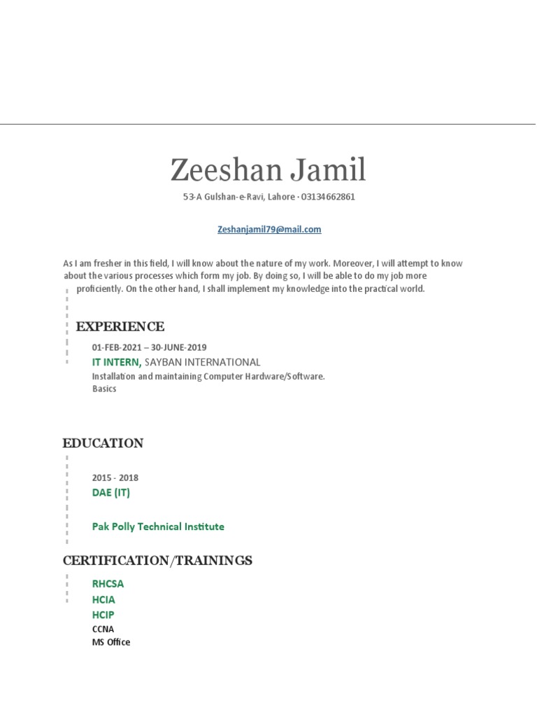 Zeeshan CV | PDF