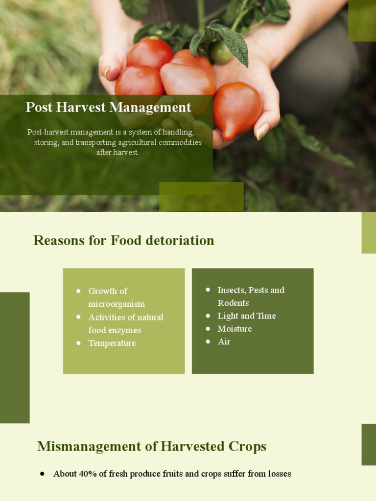 Sustainable Agriculture Project Proposal | PDF