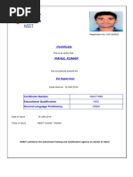 Pseb Duplicate Certificate Form PDF | PDF