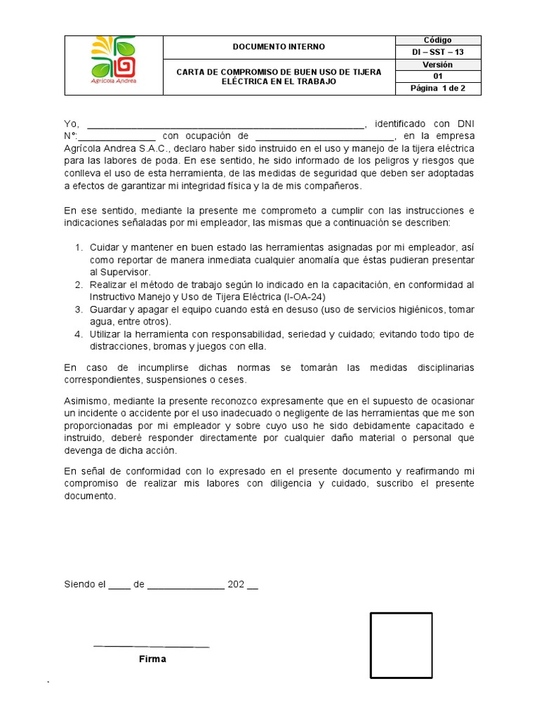 Di-Sst-13 Carta Compromiso Tijera Electrica | PDF | Tecnología