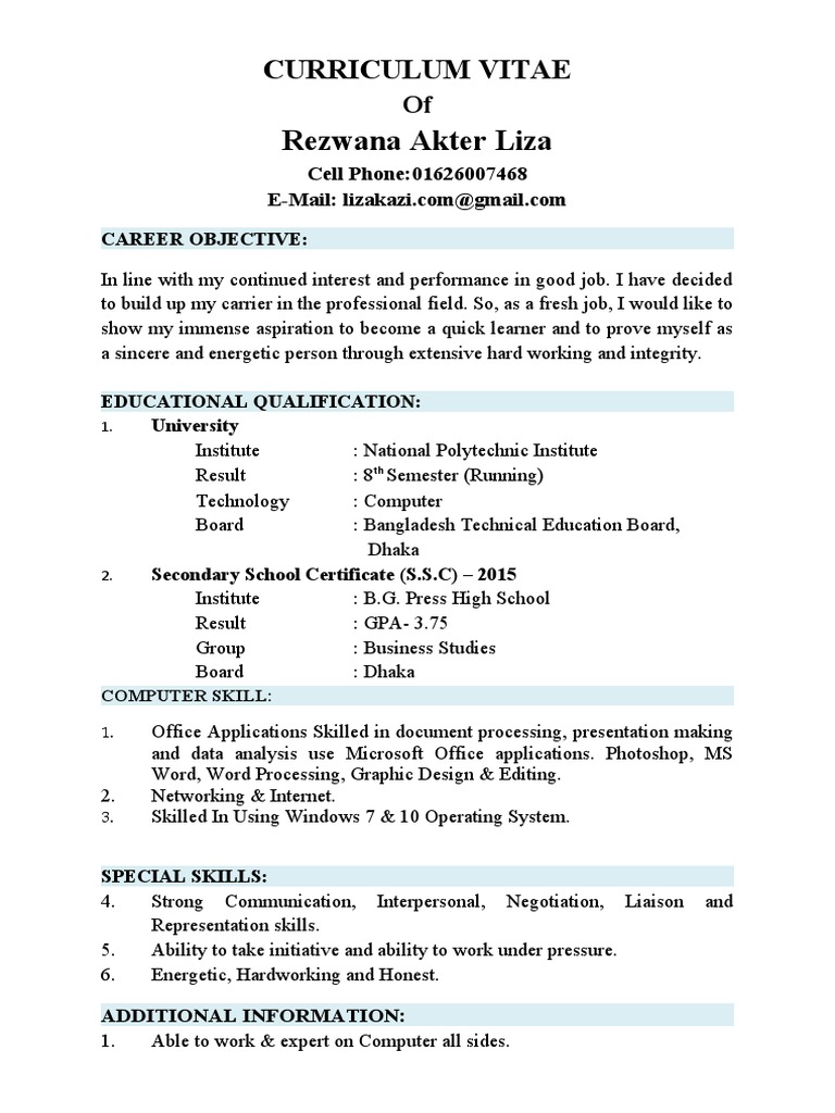 Liza CV | Download Free PDF | Computing | Communication