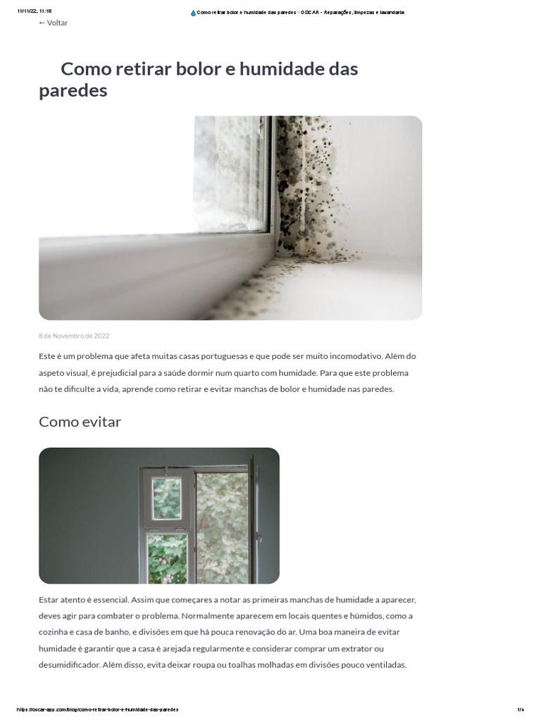 ? Como Retirar Bolor e Humidade Das Paredes OSCAR - Reparações ...