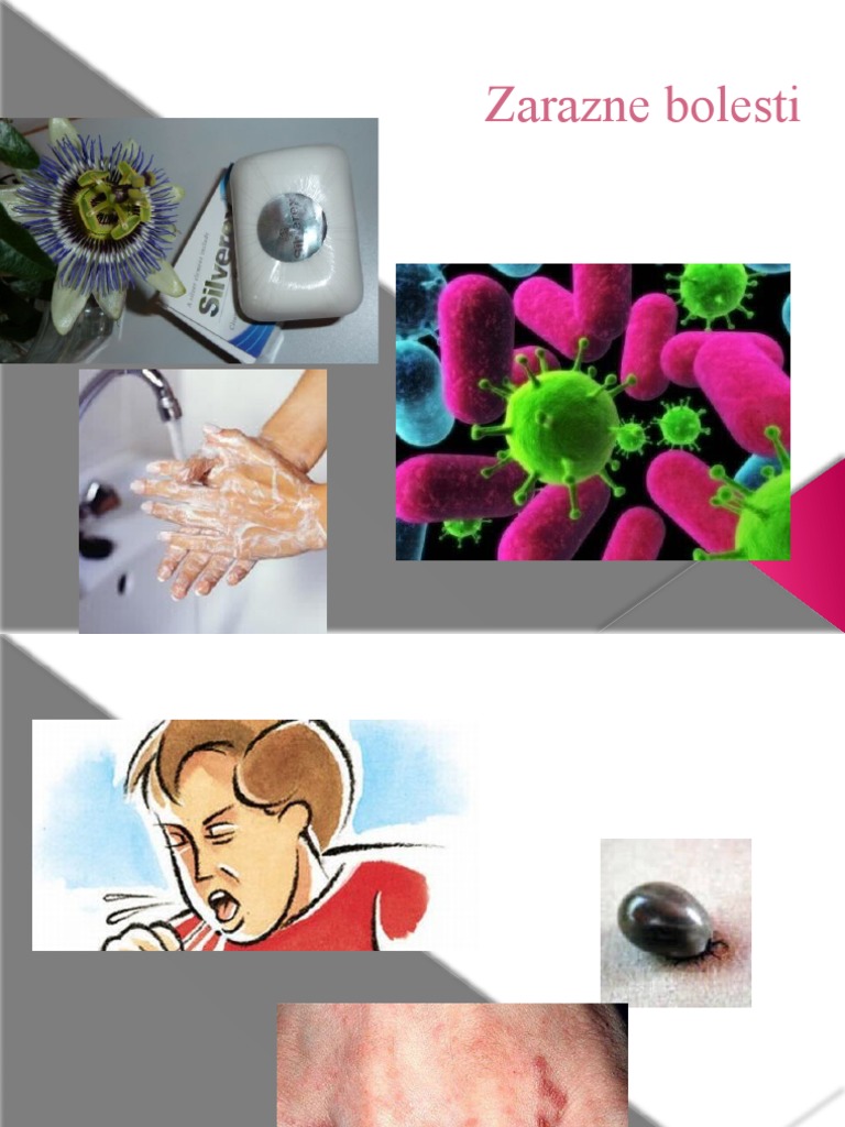Zarazne Bolesti (Nastavak Obrazovanja) | PDF