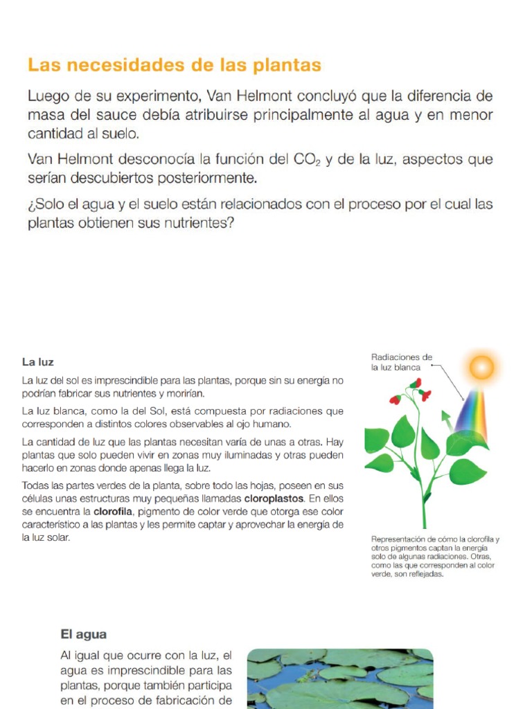 Necesidades de Las Plantas | PDF