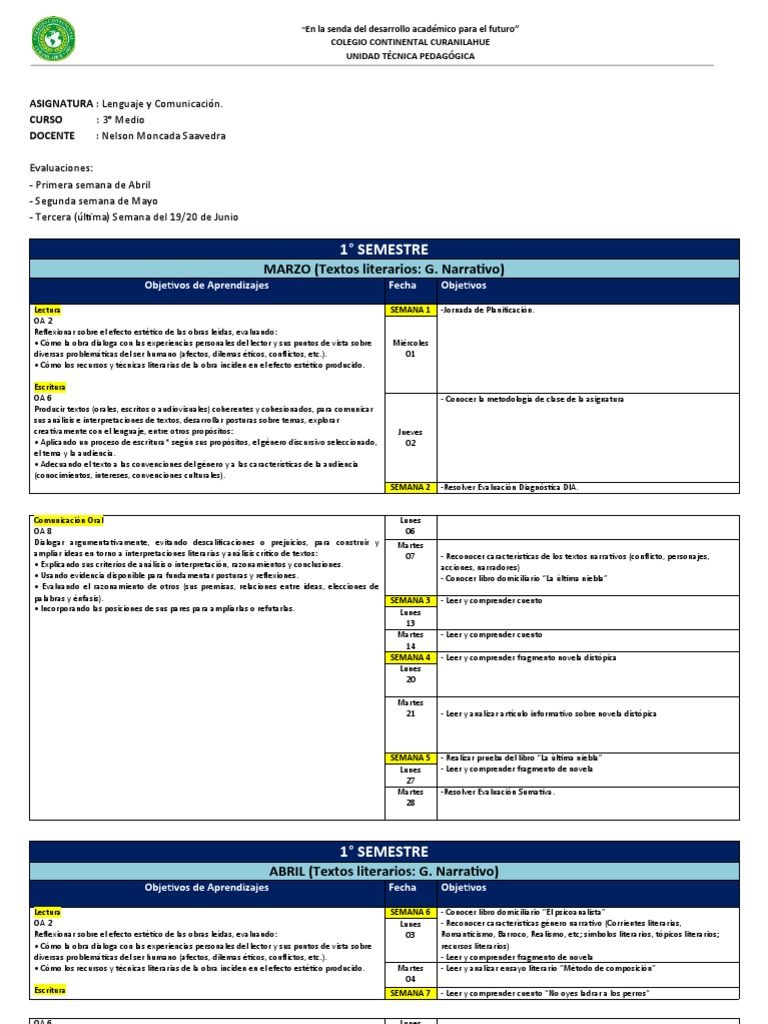 Planificación Anual 3ero Medio Pdf Evaluación Ensayos 7344
