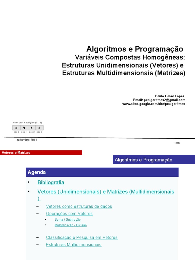Aula 06 Vetores e Matrizes | PDF | Estrutura de dados de matriz | Algoritmos