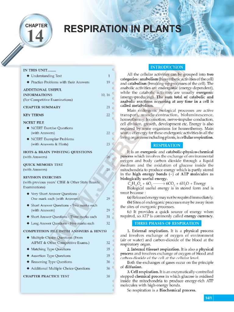 Respiration in Plants - 14 | PDF