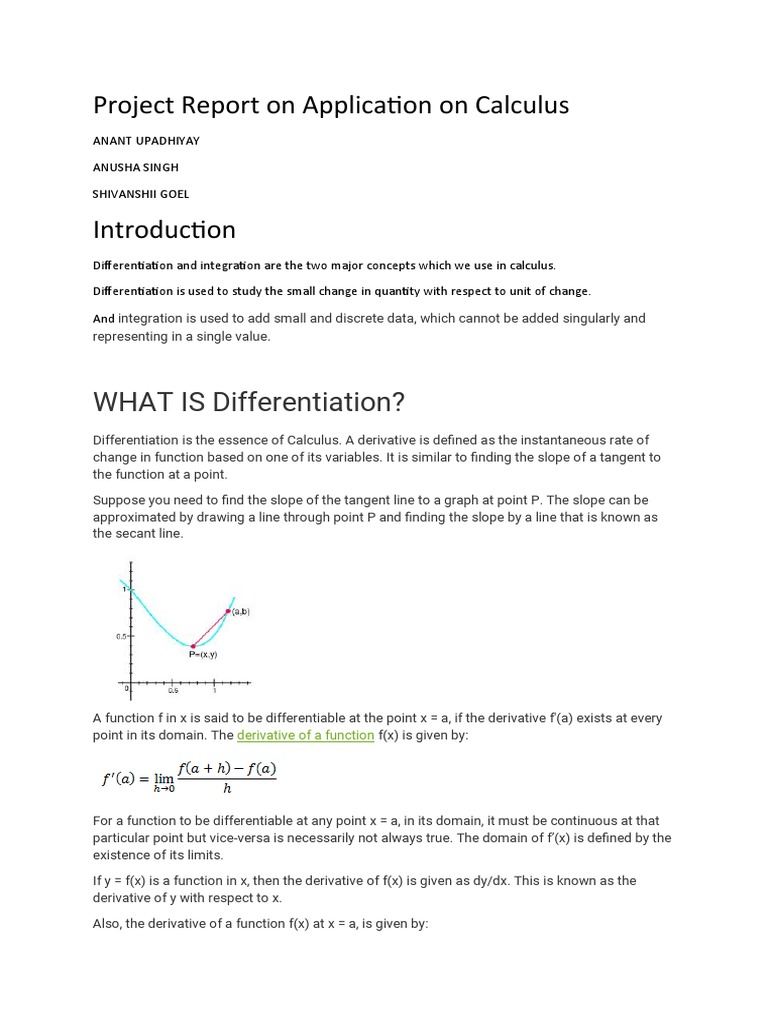Project Report On Application On Calculus | PDF | Integral | Derivative
