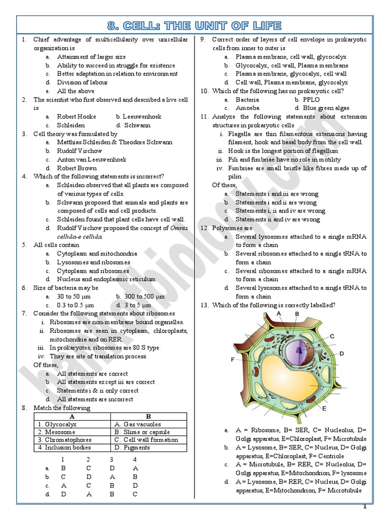 8 Cell - The Unit of Life - Entrance Questions-1 | PDF | Cell (Biology) | Endoplasmic Reticulum