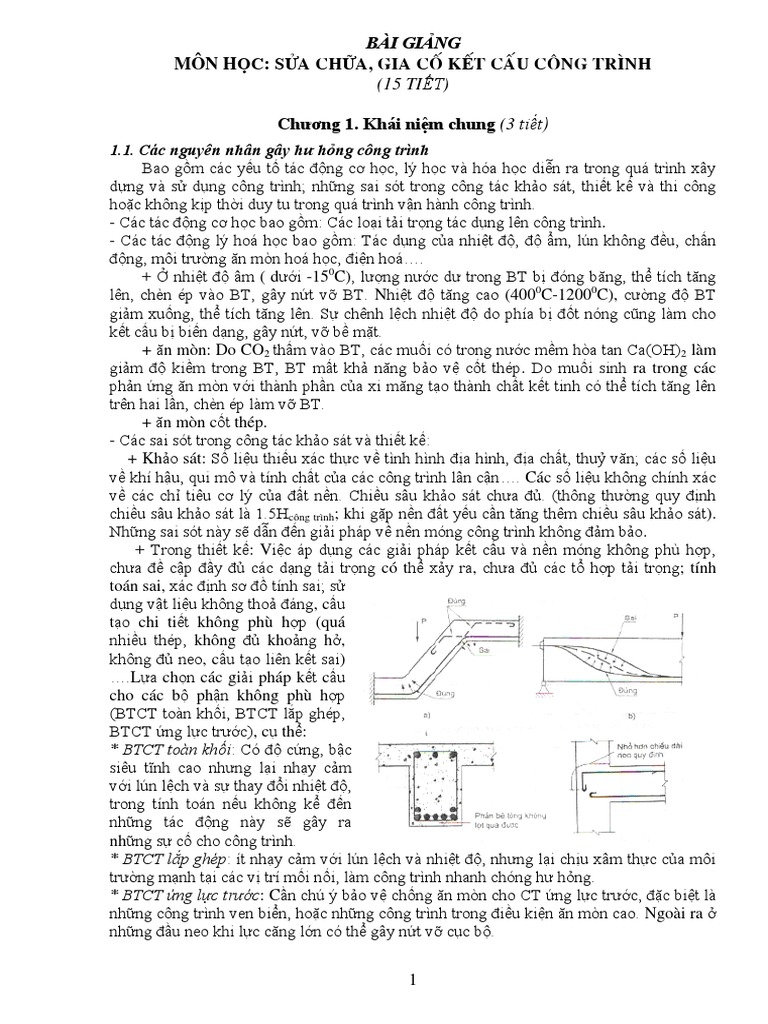 Bai Giang Sua Chua-Gia Co-Sua Lan 2 | PDF