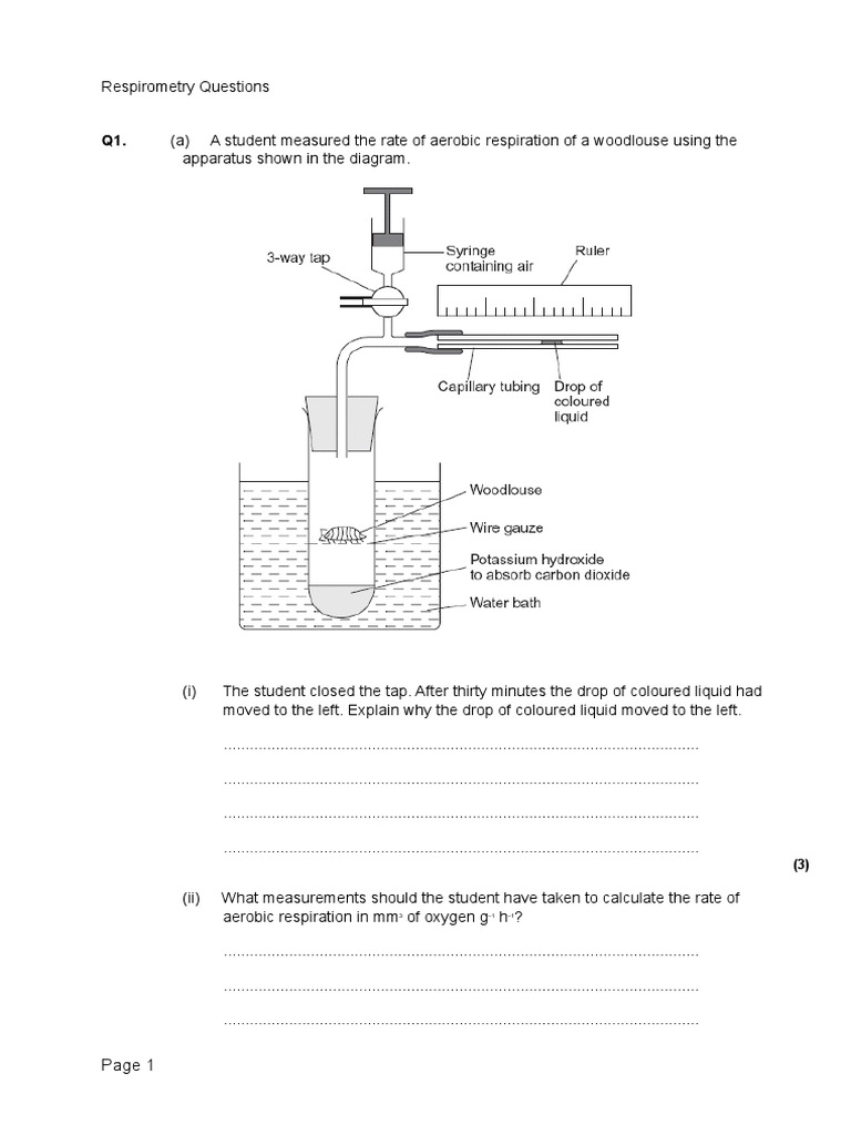 RESPIROMETRY QUESTIONS BREAKDOWN | PDF | Photosynthesis | Cellular ...