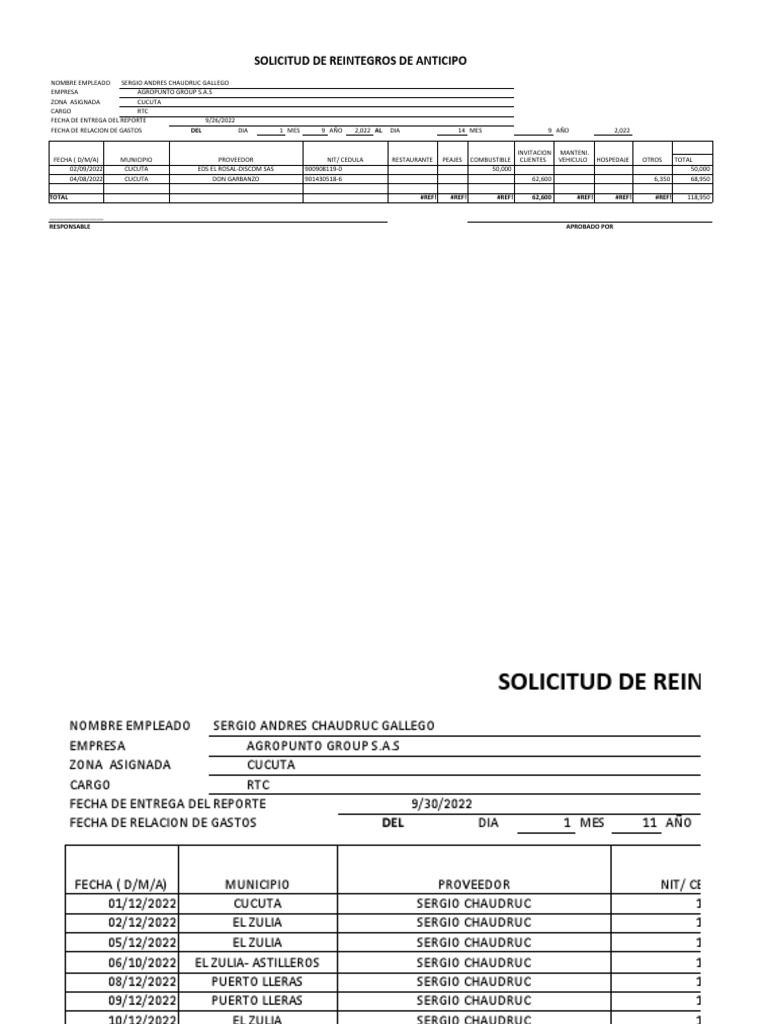 Formato Reintegro Anticipo Agropunto G. Nov 1 | PDF