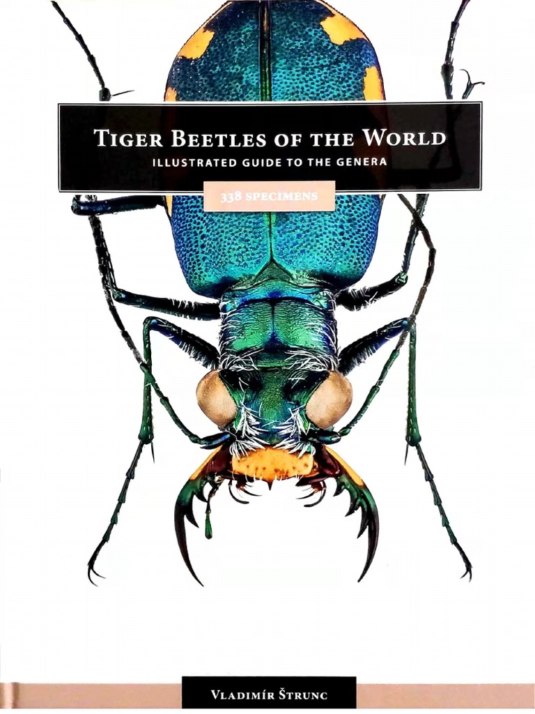 Tiger Beetles of The World | PDF