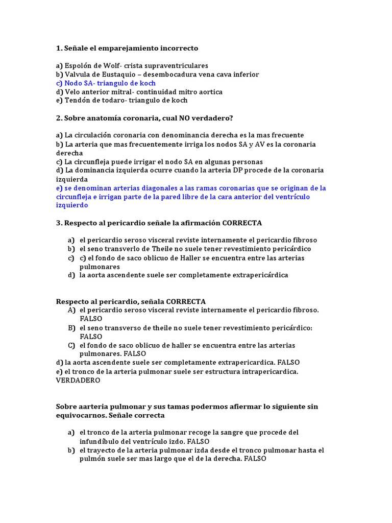 Preguntas Corazon Anatomia | PDF | Angiología | Tórax (anatomía humana)