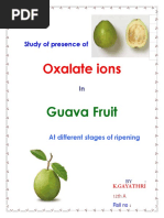 Class 12th Chemistry Project On Investigatory Test On Guava | PDF ...
