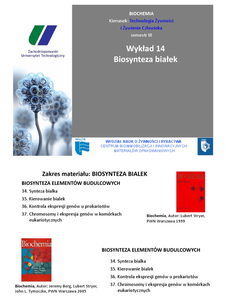 Wykład 14 Biosynteza Białek | PDF