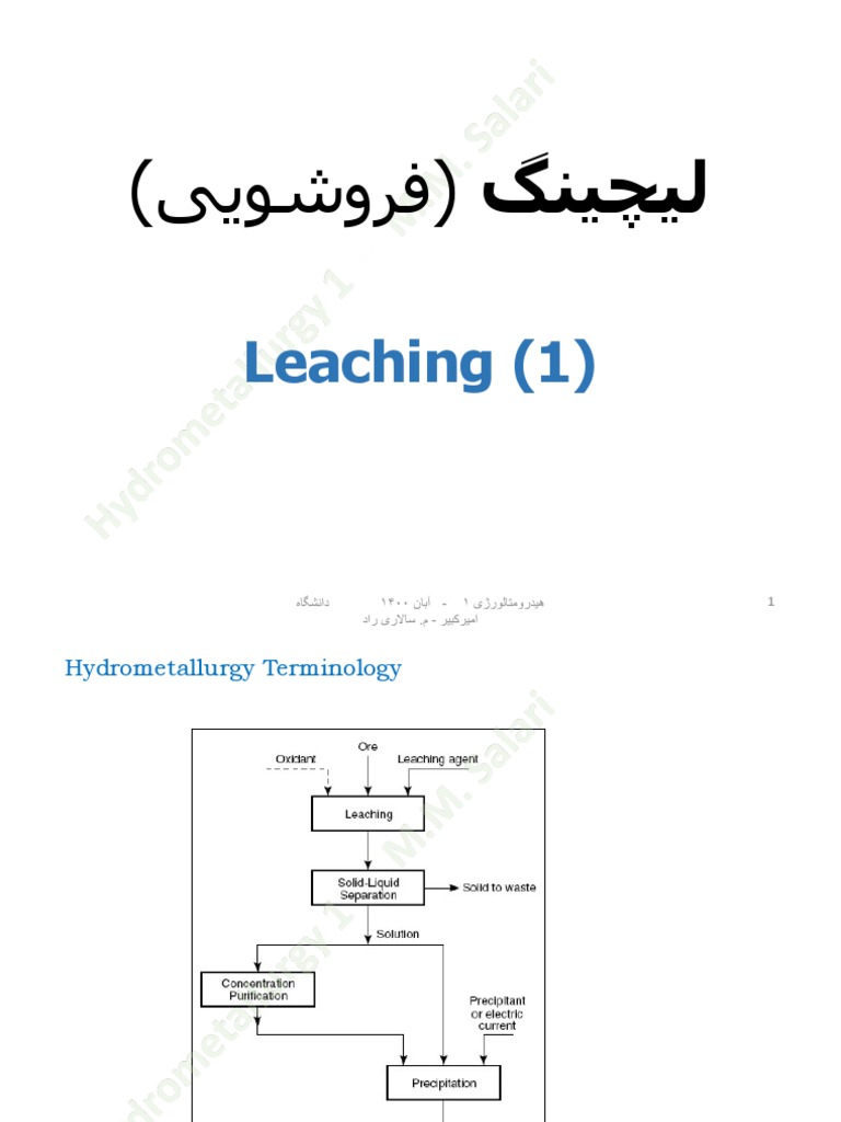 Presentation Leaching 1 +RdS, fnote + WM selected slides | PDF