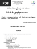COURS L1 Metazoaire | PDF | Anatomie | Biologie