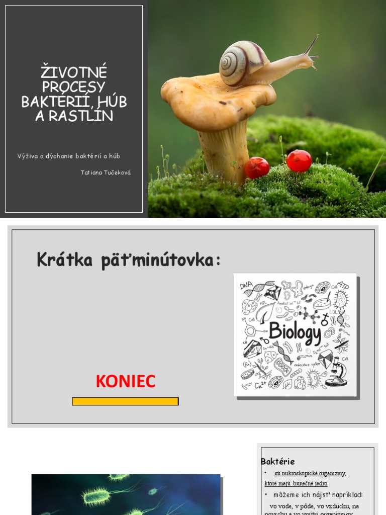 Životné Procesy Baktérií, Húb A Rastlín | PDF