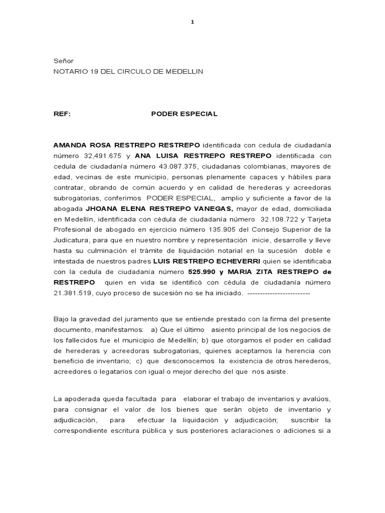 Poder Ana Luisa Sucesion | PDF | Justicia | Crimen y violencia