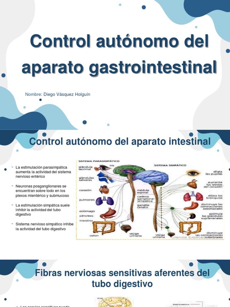 Control Autónomo Del Aparato Gastrointestinal | PDF