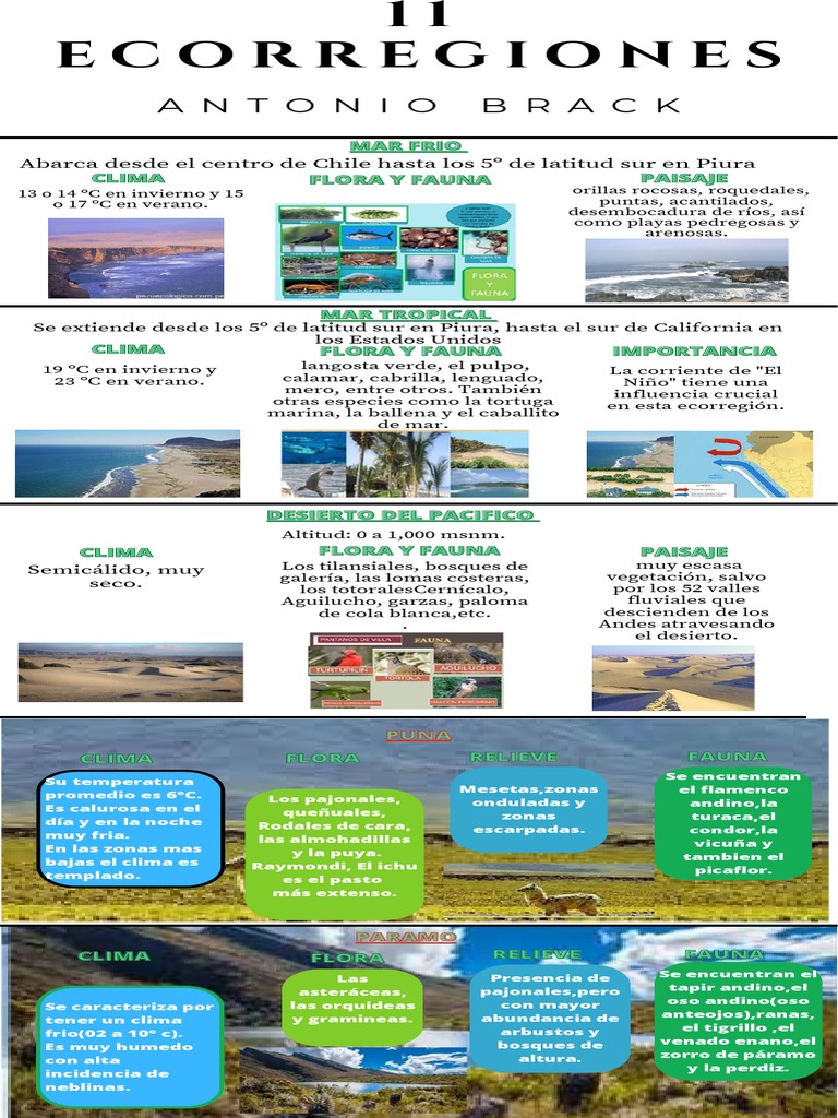 Ecor Region Es | PDF | Clima | Andes