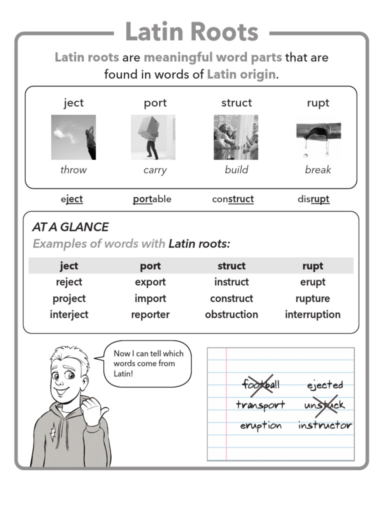 Latin Roots Anchor Chart Overview | PDF