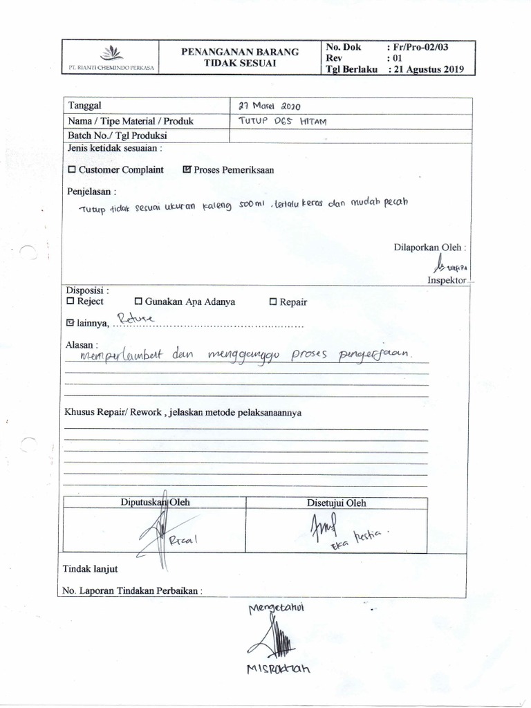 Abnormality Report | PDF