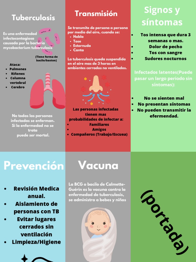 Triptico Sobre La Tuberculosis | PDF | Tuberculosis | Medicina