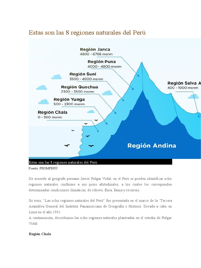 Estas Son Las 8 Regiones Naturales Del Perú | PDF | Perú