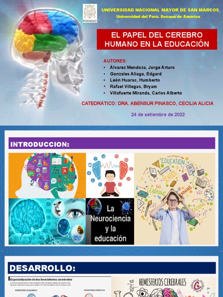 El Papel Del Cerebro Humano En La Educación 24 09 22 Pdf