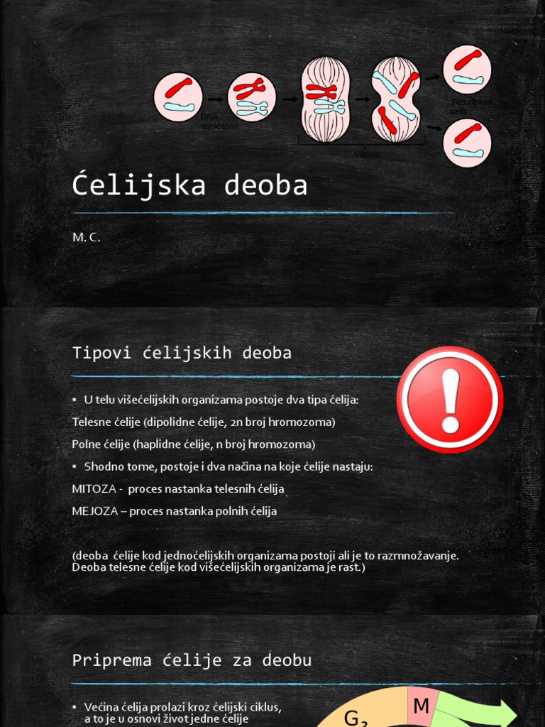 Ćelijski Ciklus I Ćelijska Deoba | PDF