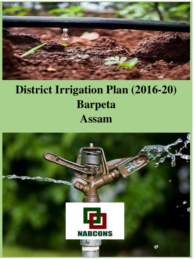 District Irrigation Plan, Barpeta - 0 | PDF | Agriculture | Irrigation