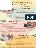Infografía (La Adultez) | PDF | Adultos | Vejez