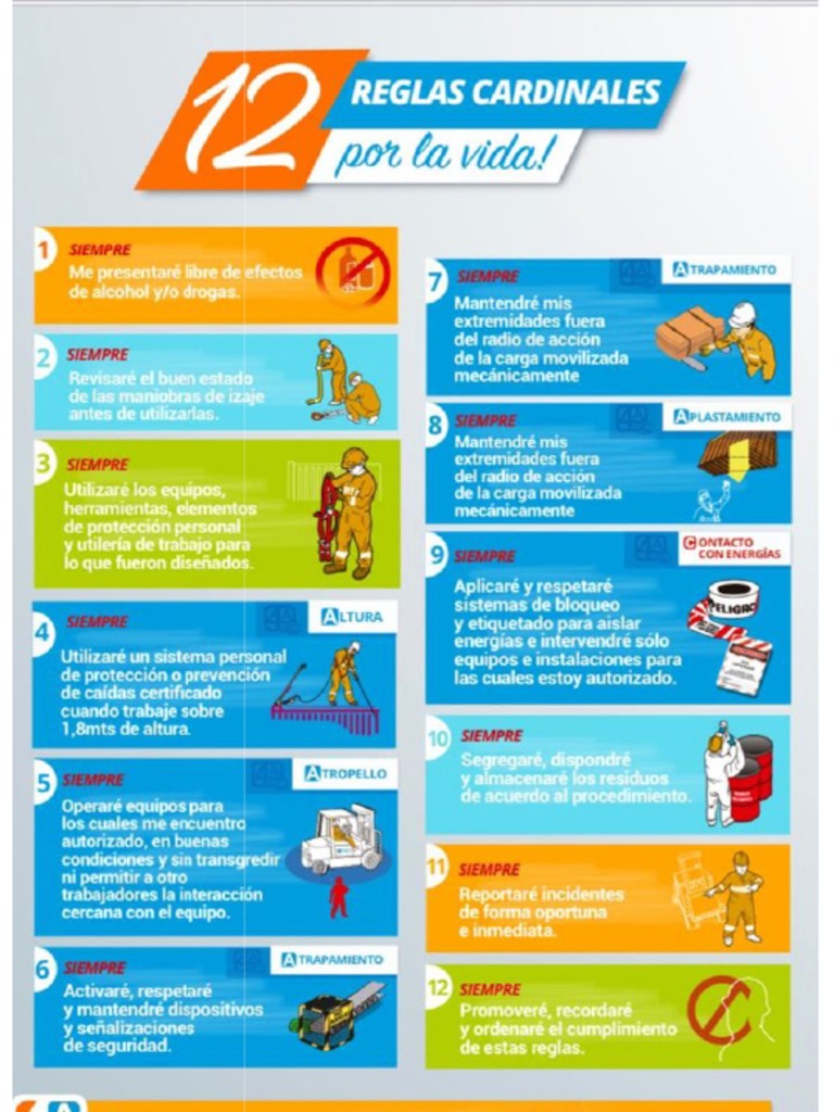 11 Reglas Cardinales - Rotated | PDF