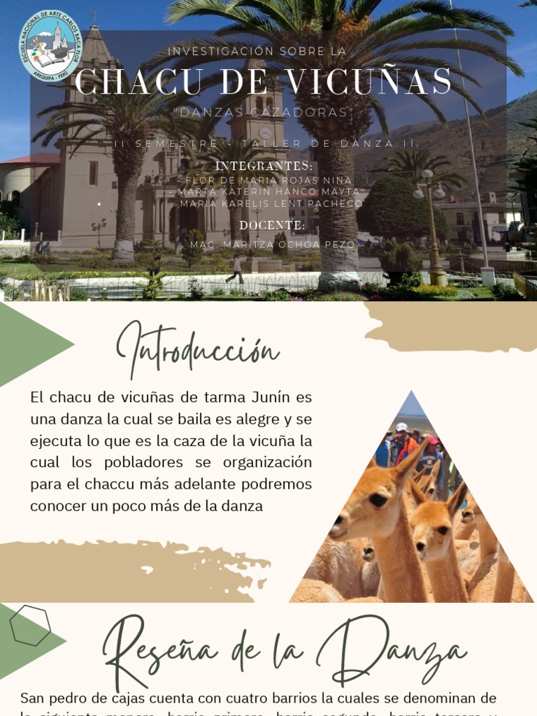 CHACU DE Vicuñas Junin | PDF