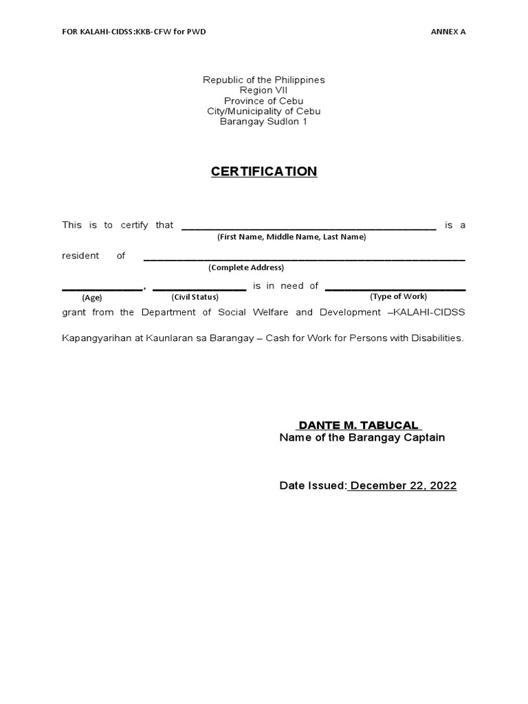 Certification Cash For Work | PDF