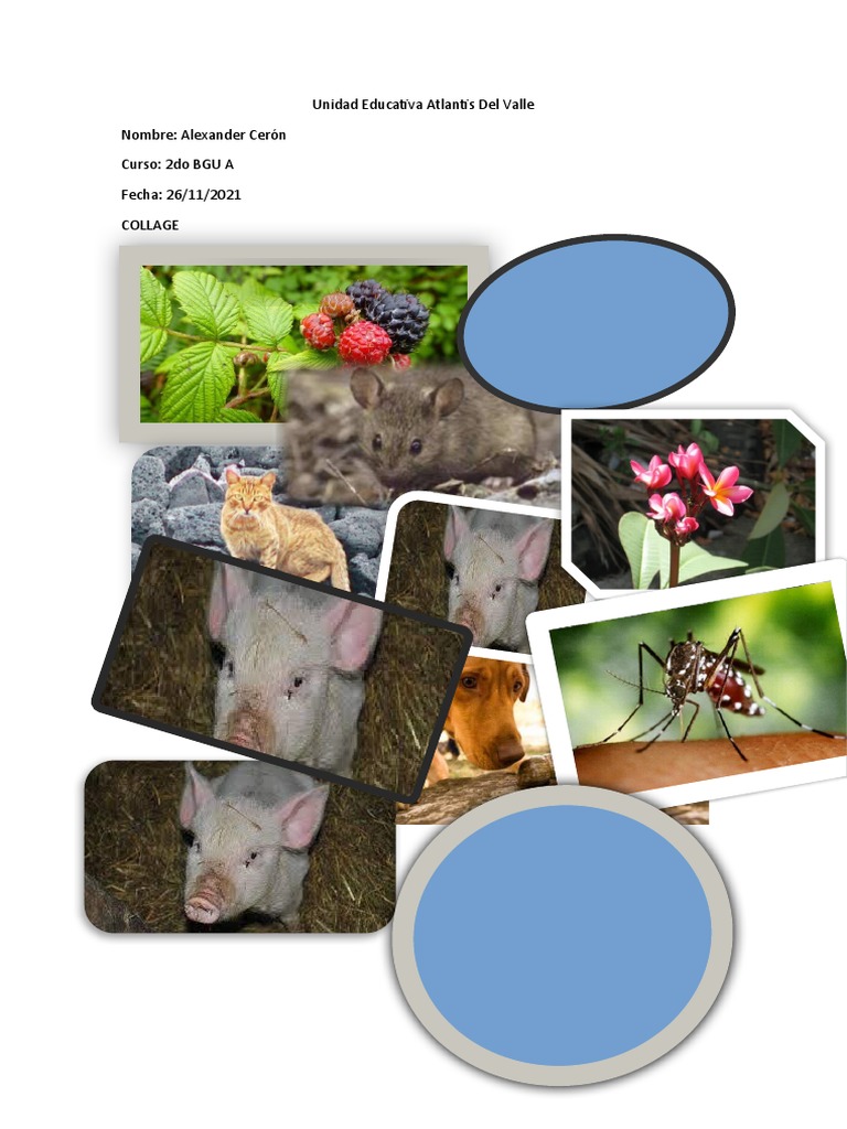 Collage Flora y Fauna | PDF