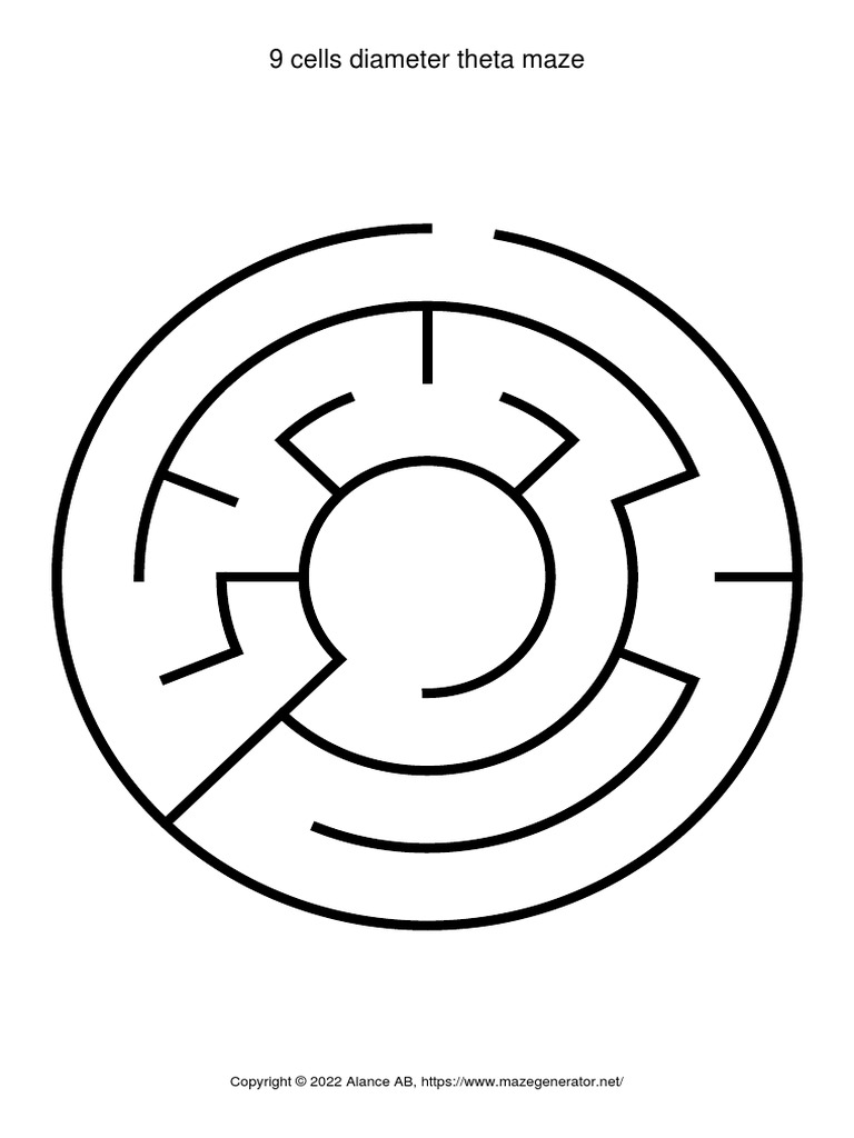 9 Cells Diameter Theta Maze | PDF