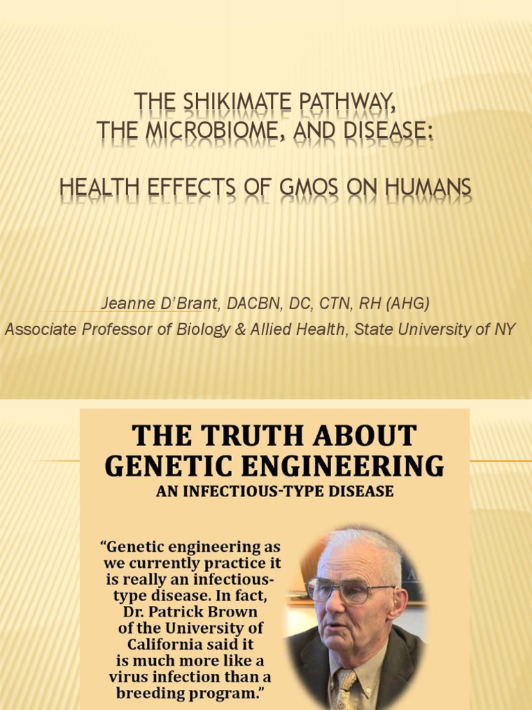 GMO, Shikimate Pathway Gut Flora and Health | PDF | Tyrosine ...