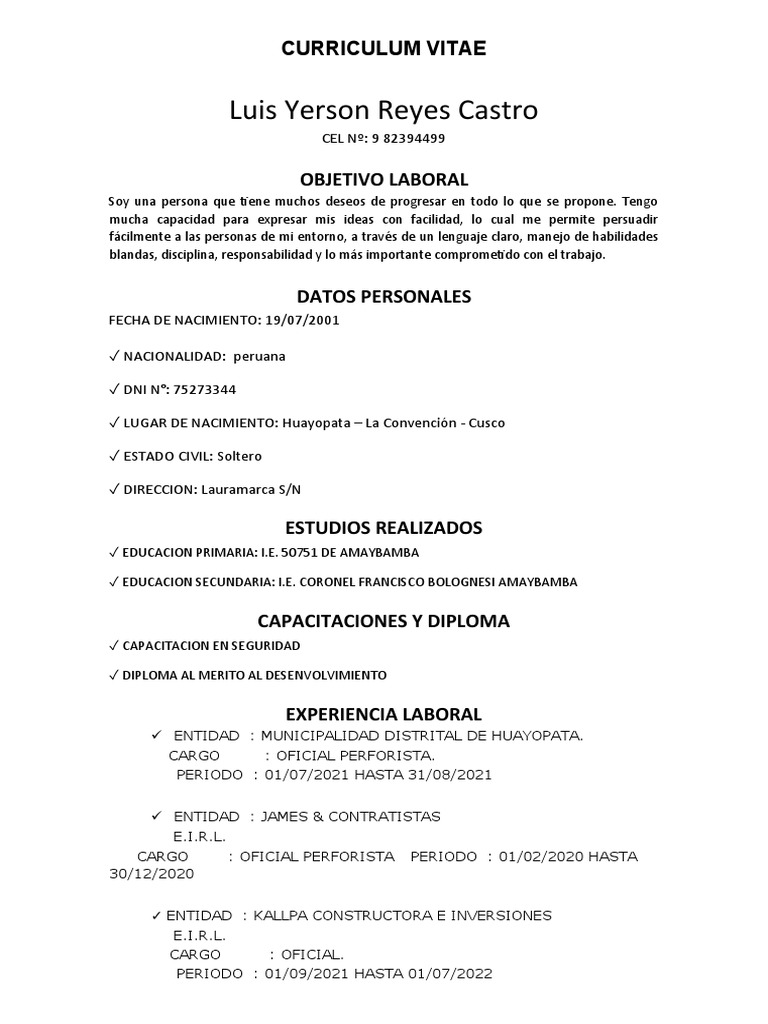 Curriculum Vitae Yerson Reyes | PDF | Crecimiento personal y profesional | Derecho