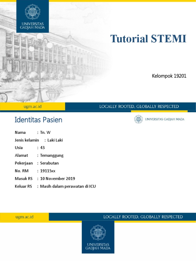 Stemi 19201 | PDF