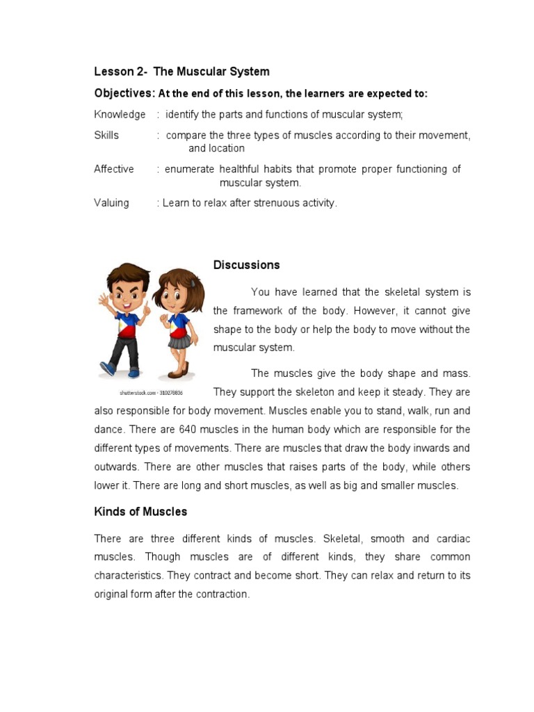 Lesson 2 - Muscular System | PDF | Skeletal Muscle | Heart