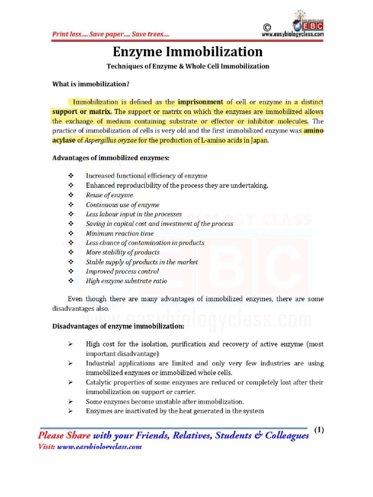 Enzyme Immobilization Techniques Lecture Notes PDF | PDF | Science ...