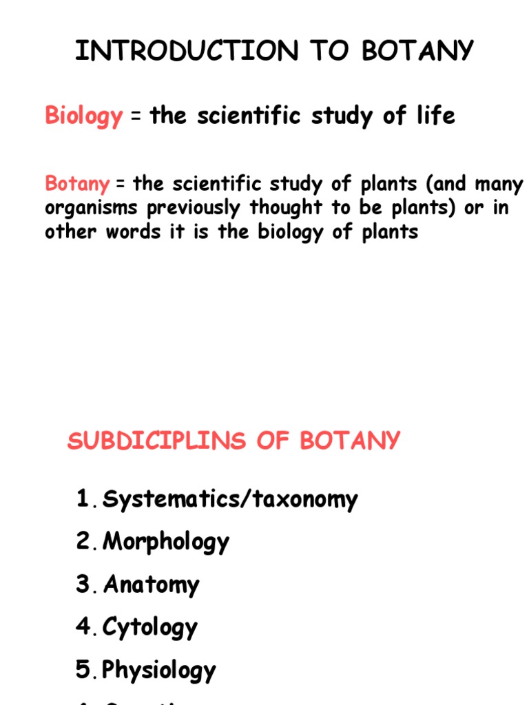 1 Plant Classification (Root, Stem and Leaf Morfologi) (2) Black and ...