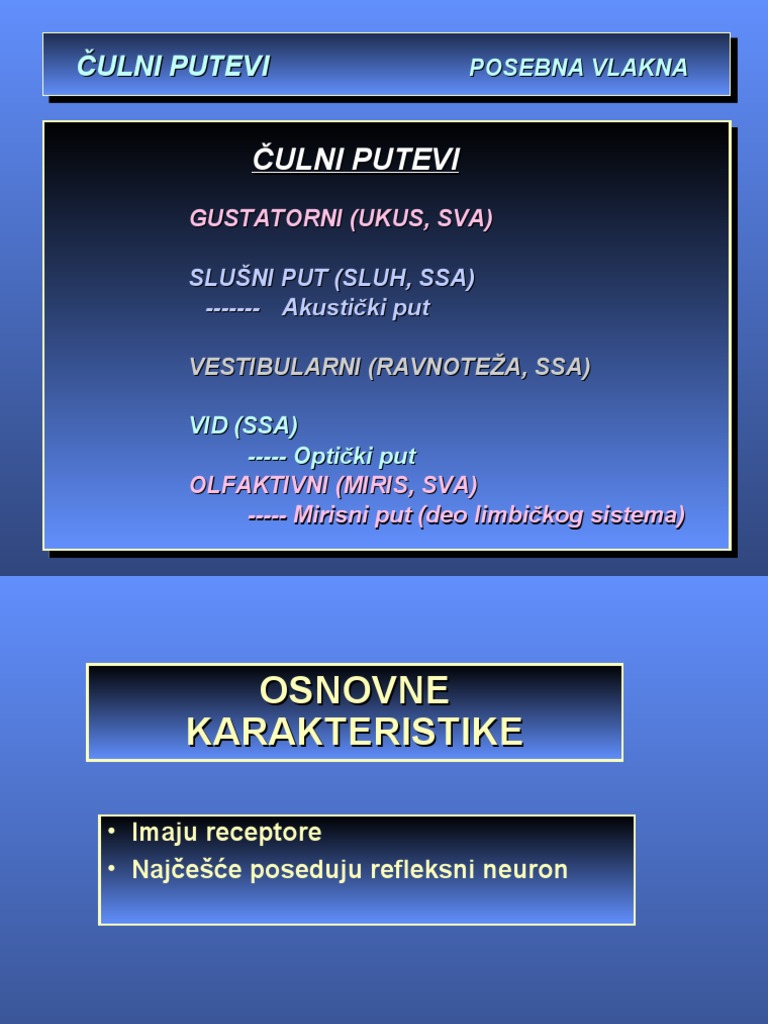 Culni Putevi | PDF
