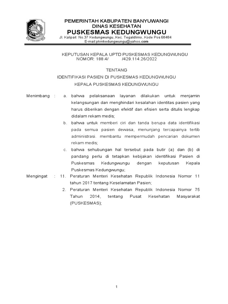 SK Identifikasi Pasien 2 | PDF | Pengembangan Diri | Kesehatan Holistik