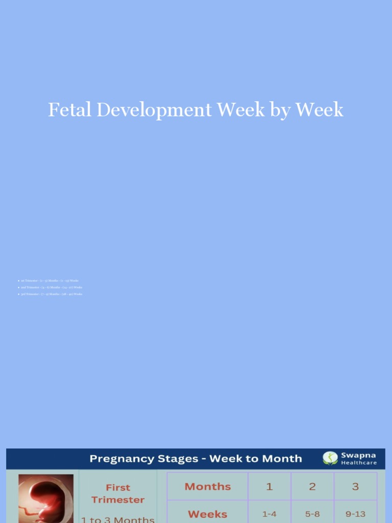 Fetal Development Week by Week | PDF | Pregnancy | Fetus